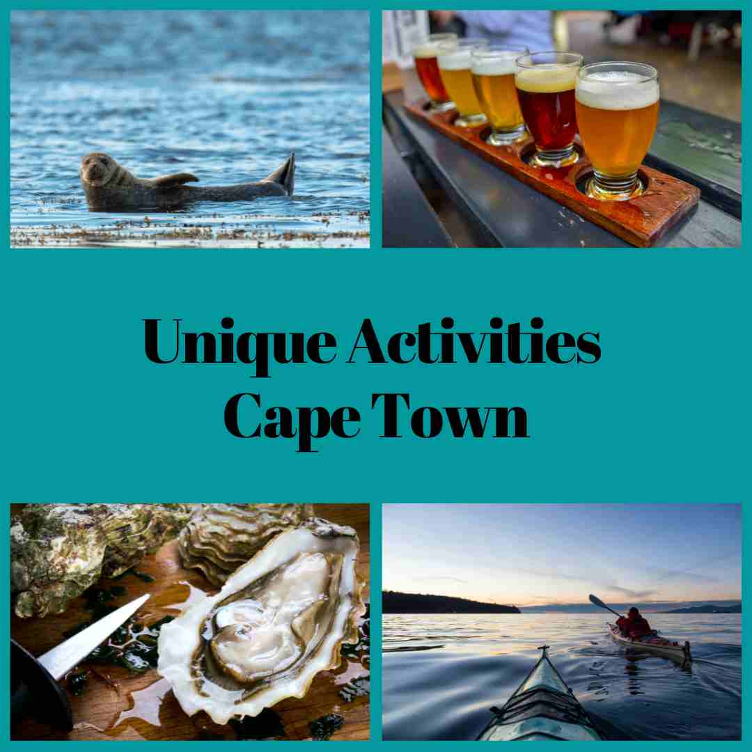 Unique Activities Cape Town Blog - African Star Tours
