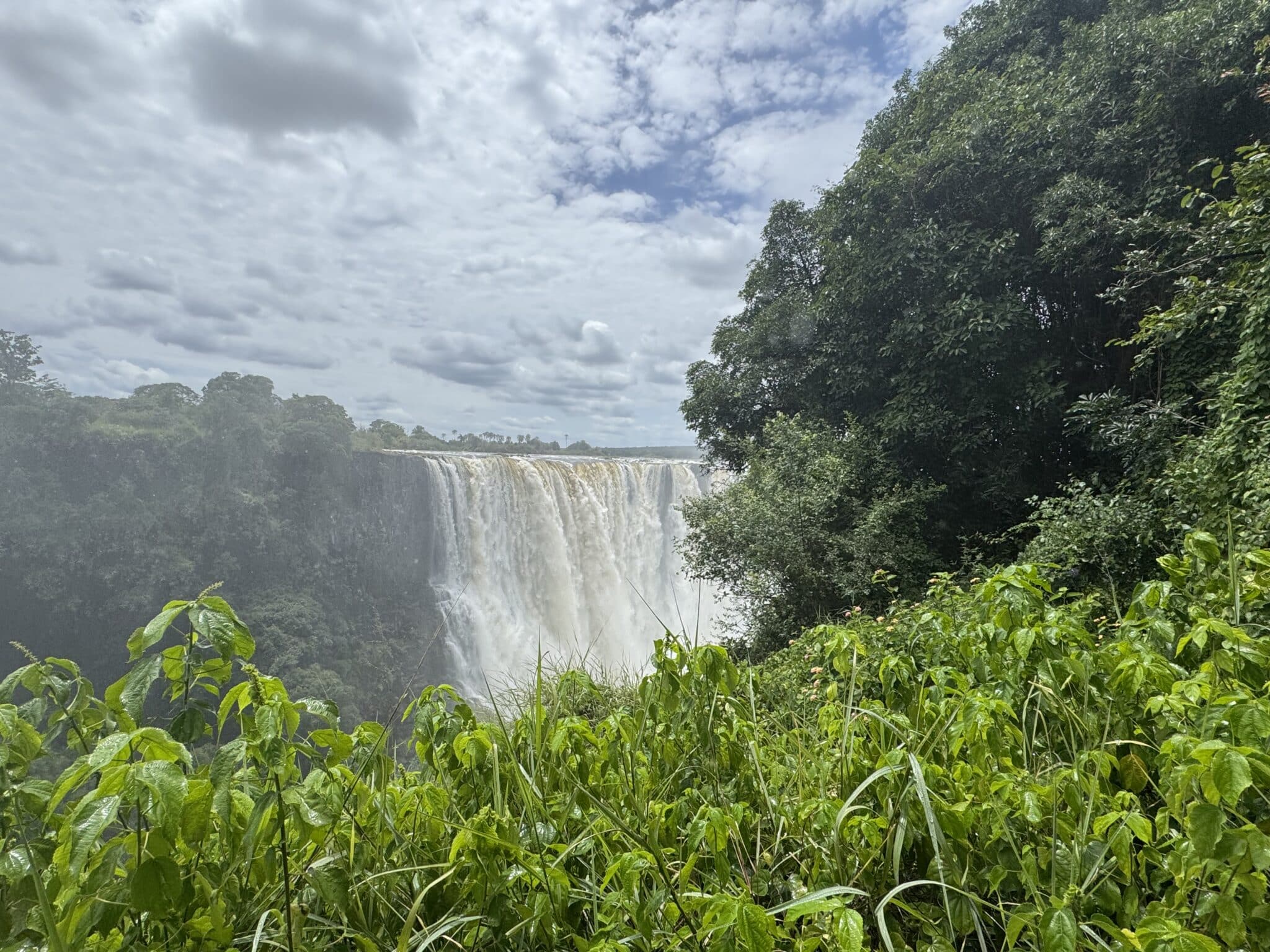 African River Cruise, Falls and Safari Tour %se