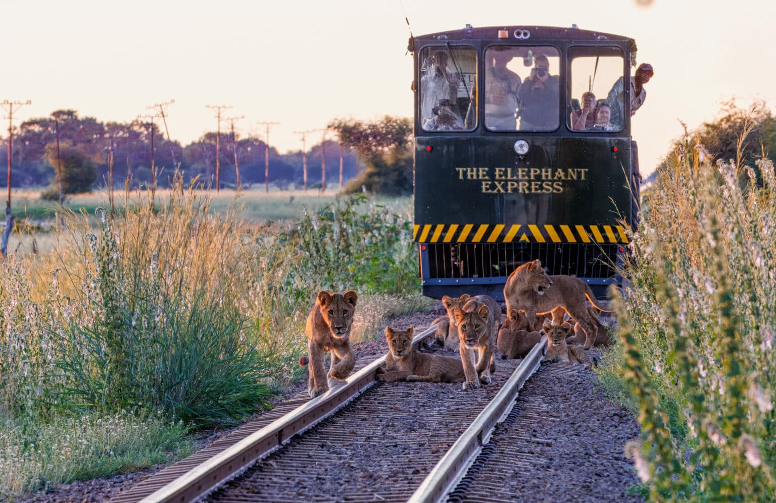 Is Zimbabwe Safe for Travel in 2025? - African Star Tours